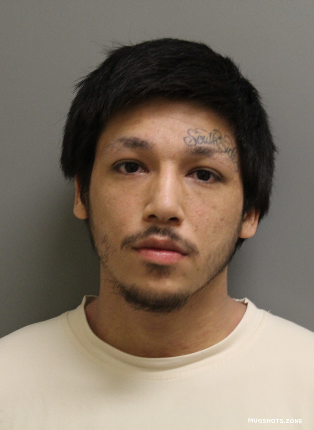 VASQUEZ MICHAEL ANGEL 03/26/2024 - Harris County Mugshots Zone