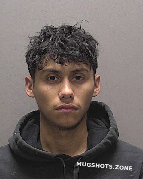 FLORES JASON STEWART 03/30/2024 - Harris County Mugshots Zone