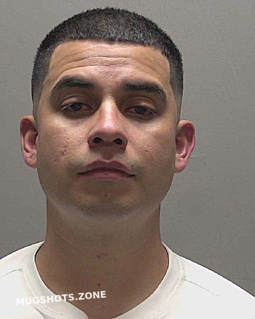 GARZA ZACHARY ANTHONY 03/30/2024 - Harris County Mugshots Zone