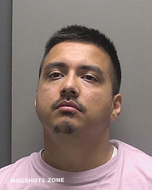 REHAN MOHAMMAD 04/01/2024 - Harris County Mugshots Zone