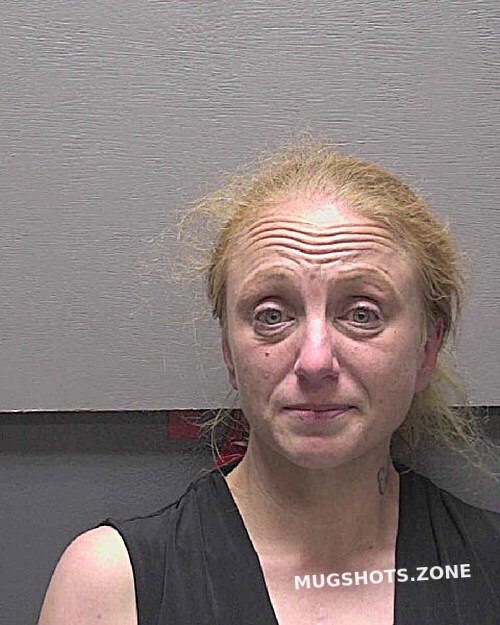 FRANKLIN TERRI JEAN 05/22/2024 - Harris County Mugshots Zone