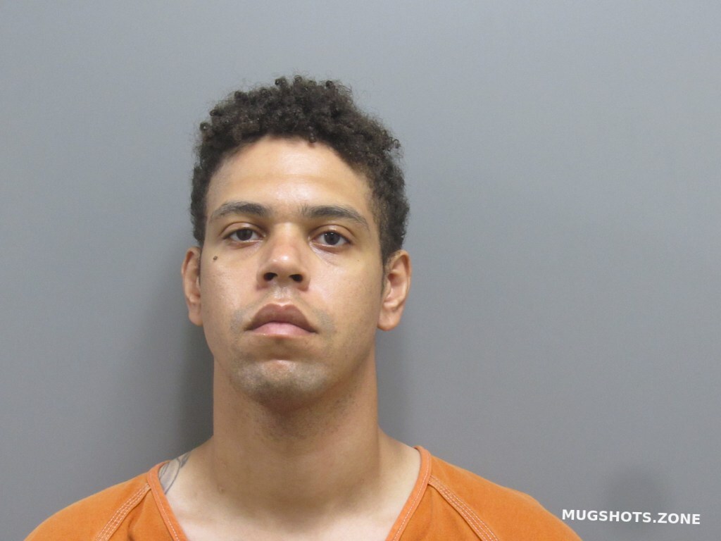 BRINKMANN BRENDON FRANK 05/28/2024 - Harris County Mugshots Zone