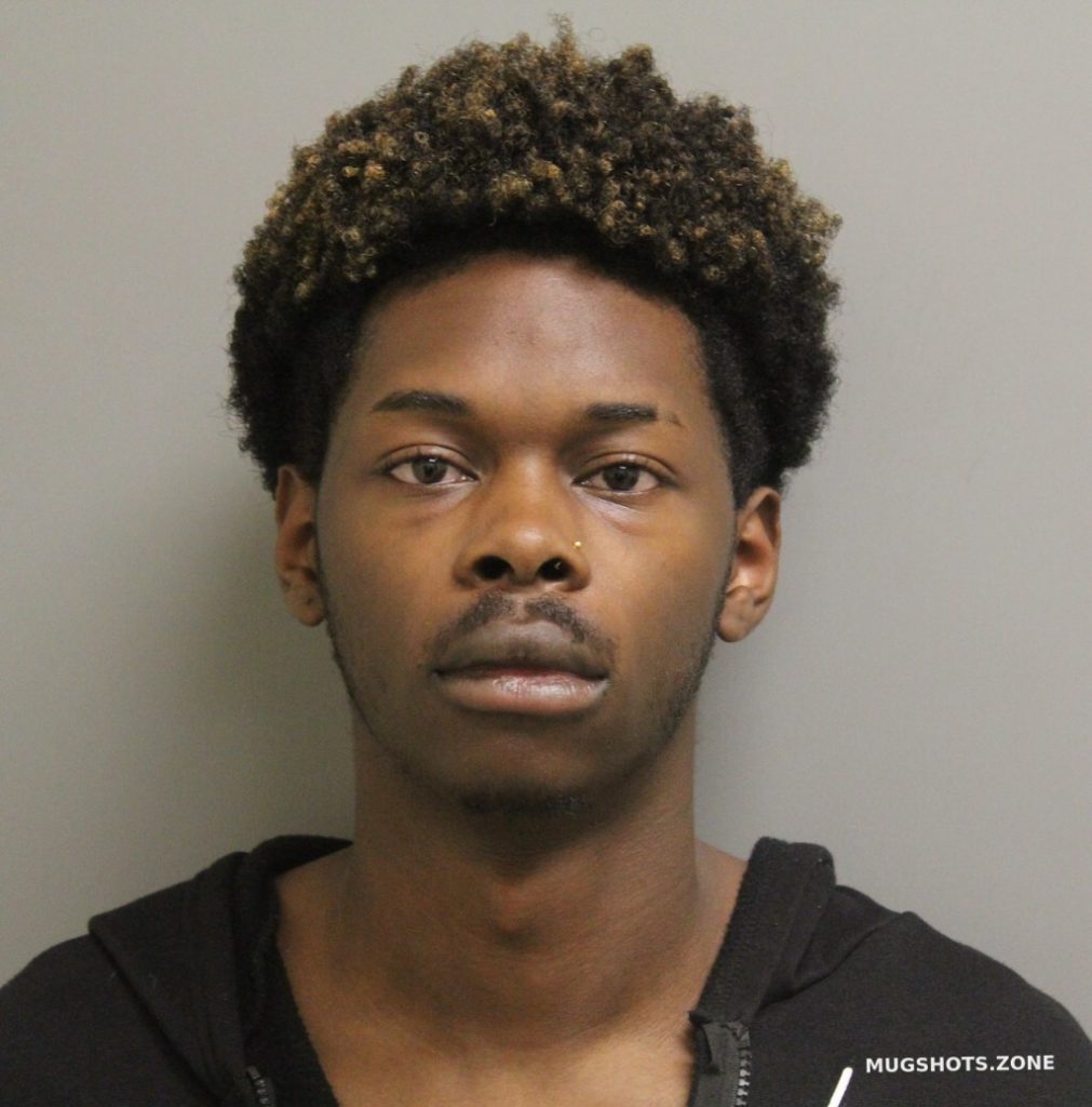 YARDE JOSHUA KINGSLEY 05/31/2024 - Harris County Mugshots Zone