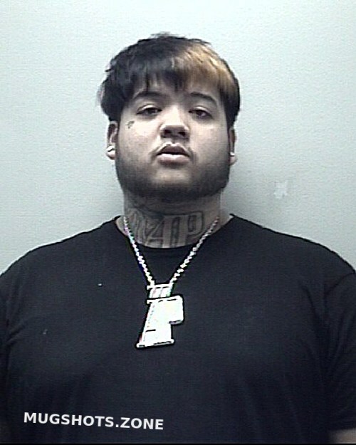 PHAM ANTHONY MARCUS 07/09/2024 - Harris County Mugshots Zone