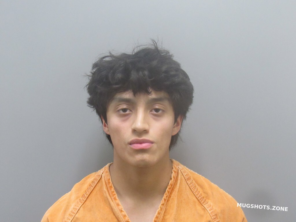 CABELLO ALFONSO LEONEL 07/16/2024 - Harris County Mugshots Zone