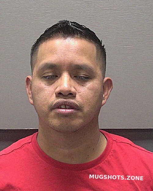 AJIATAZ ARMANDO 07/25/2024 - Harris County Mugshots Zone