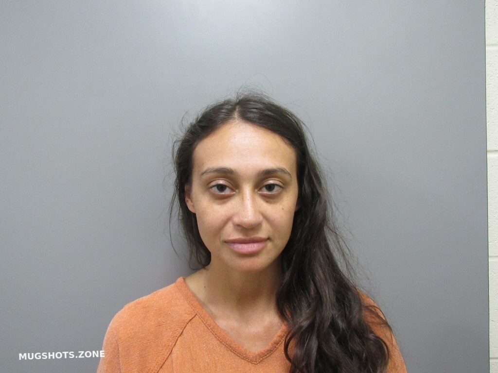 CAPETILLO HARLEE LYNN 08/04/2024 - Harris County Mugshots Zone