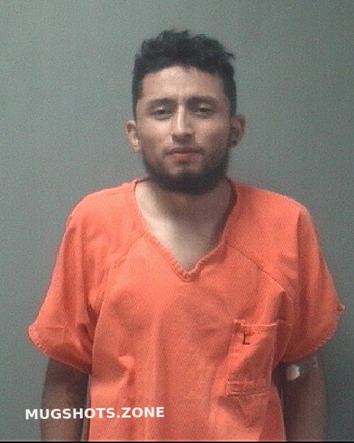 ROJAS HECTOR 08/17/2024 - Harris County Mugshots Zone
