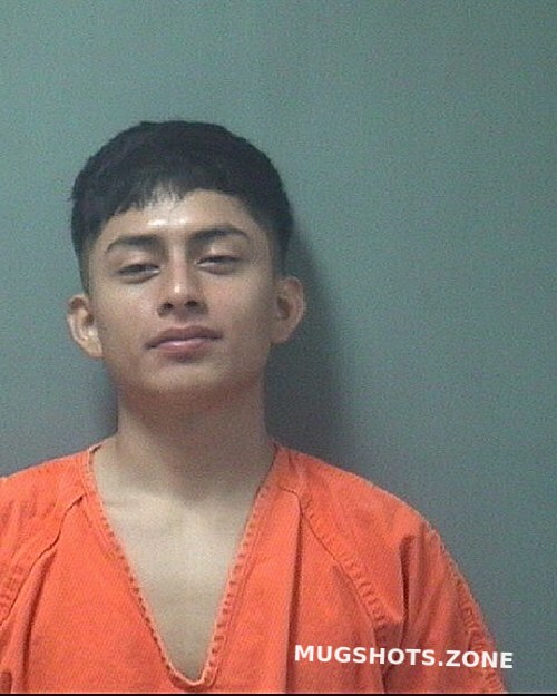 LEAL EDGAR 08/28/2024 - Harris County Mugshots Zone