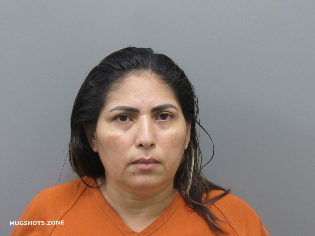 VASQUEZ FERMAN ELSY NOHEMY 08/28/2024 - Harris County Mugshots Zone