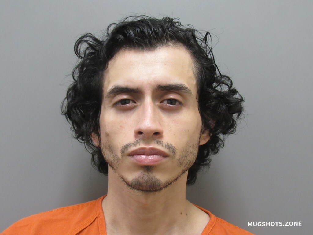 RAMIREZ FEDERICO 08/28/2024 - Harris County Mugshots Zone