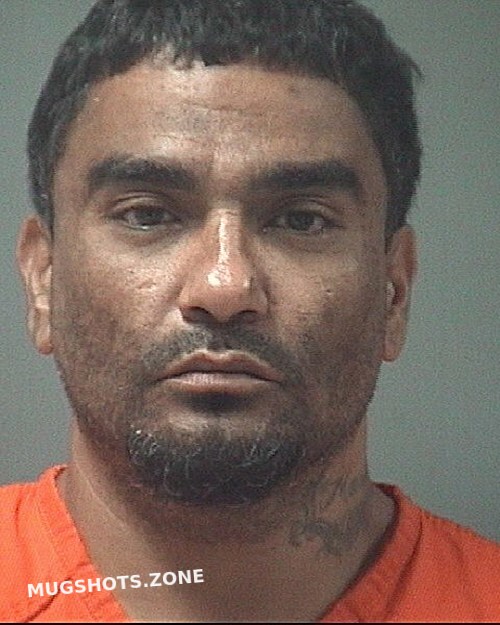 DELOSSANTOS MIGUEL ANGEL 09/07/2024 - Harris County Mugshots Zone