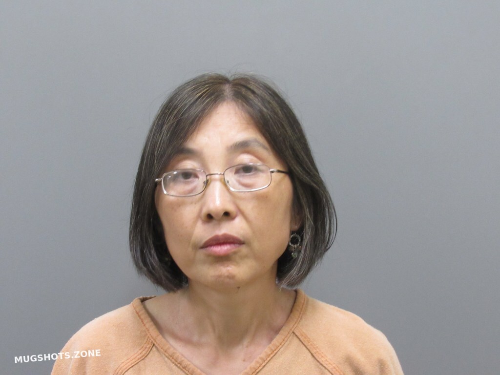 WANG YU 09/09/2024 - Harris County Mugshots Zone
