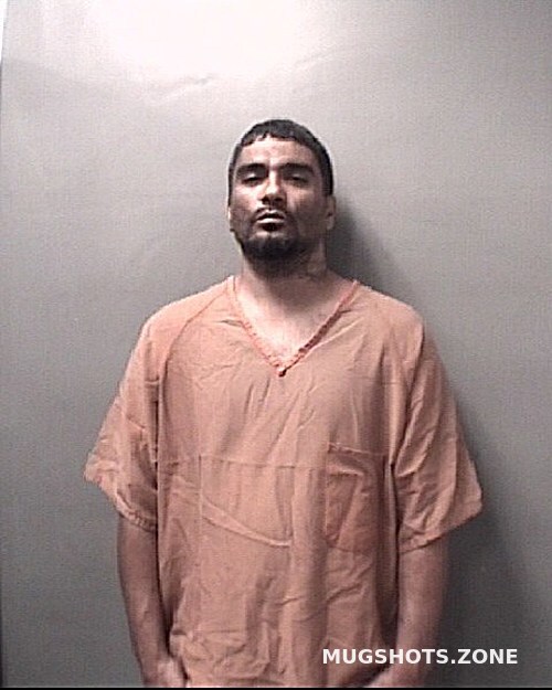 DELOSSANTOS MIGUEL ANGEL 09/11/2024 - Harris County Mugshots Zone