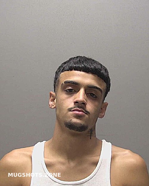 SANTOS ALEXIS XAVIER 09/16/2024 - Harris County Mugshots Zone