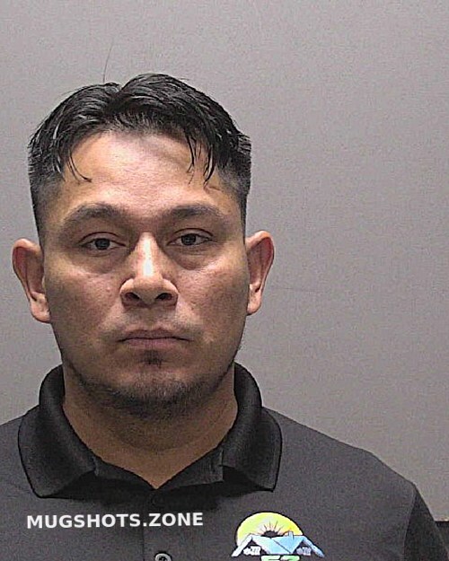 ROSALES BENITEZ MIGUEL ANGEL 09/24/2024 - Harris County Mugshots Zone