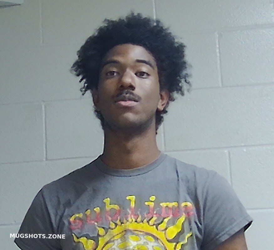 WILLIAMS CAMERON JAMES 10/07/2024 - Harris County Mugshots Zone