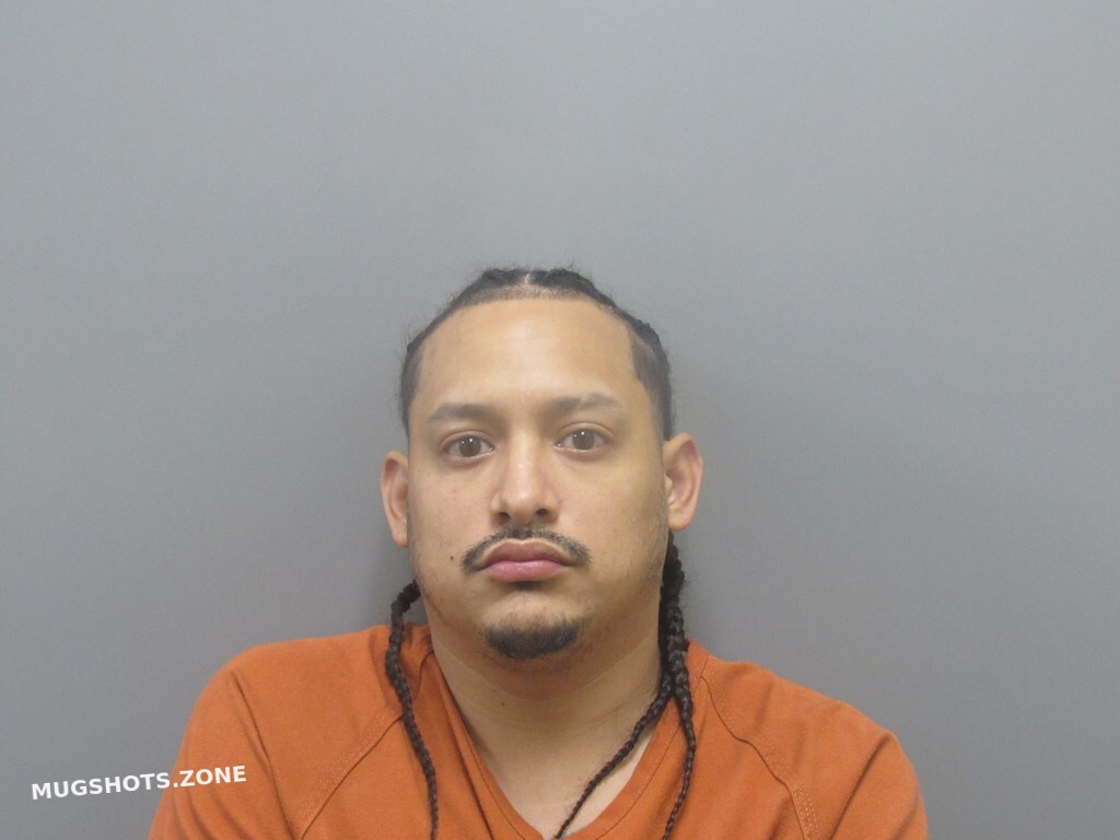 VILLARREAL JAVIER ANTONIO 10/17/2024 - Harris County Mugshots Zone