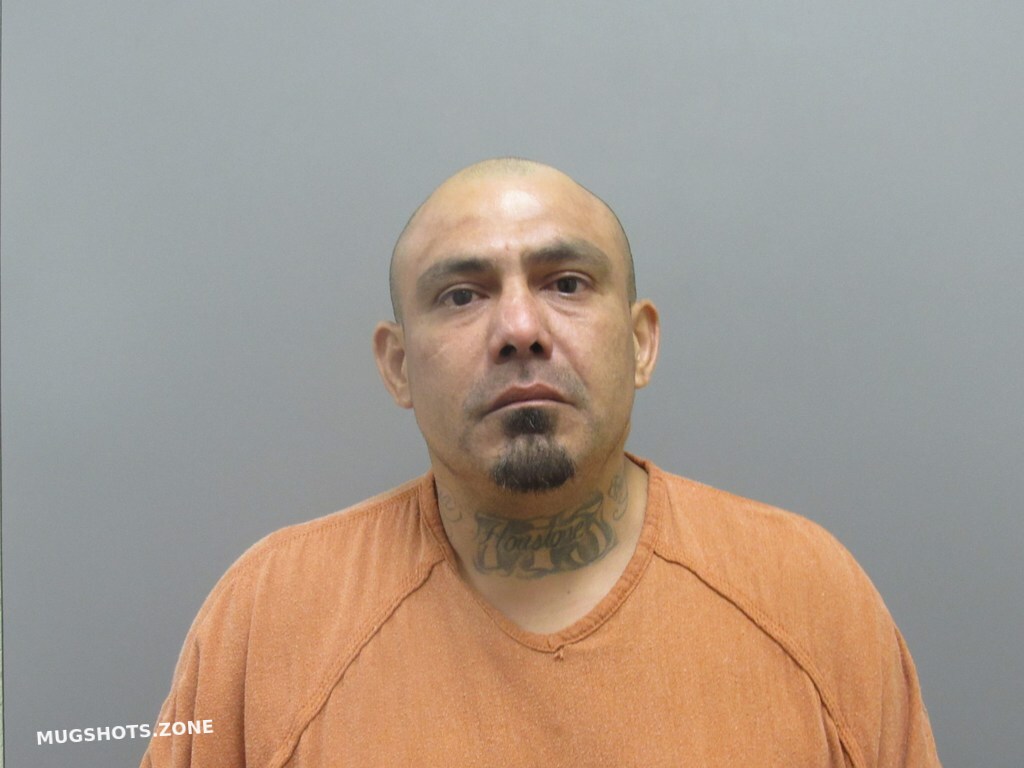 SANTANA SIGIFREDO 10/22/2024 - Harris County Mugshots Zone