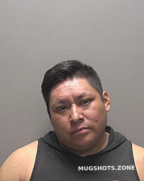 PELICO DE LEON YOVANY AROLDO 10/27/2024 - Harris County Mugshots Zone PELICO DE LEON YOVANY AROLDO 10/27/2024 - Harris County Mugshots Zone