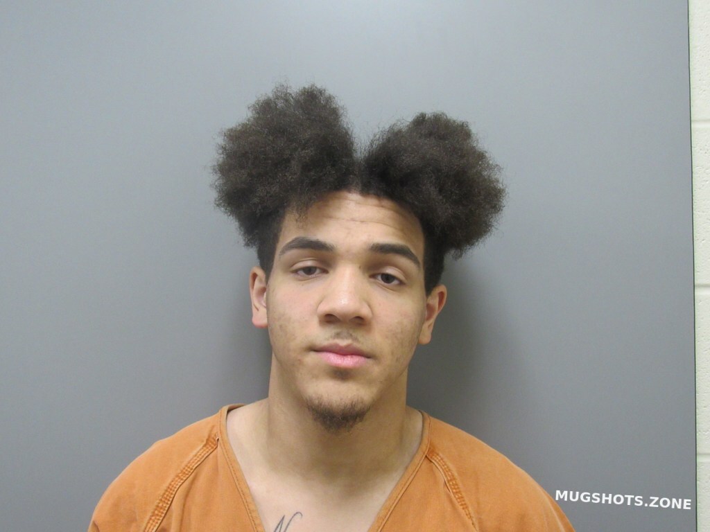 YOUNG NATHAN LEE-ARON 10/28/2024 - Harris County Mugshots Zone