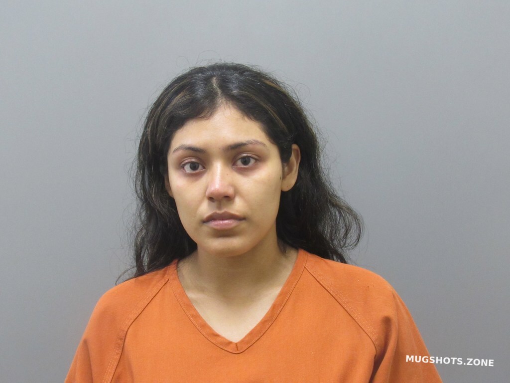 VARGAS DAISY ODALYS 10/31/2024 - Harris County Mugshots Zone