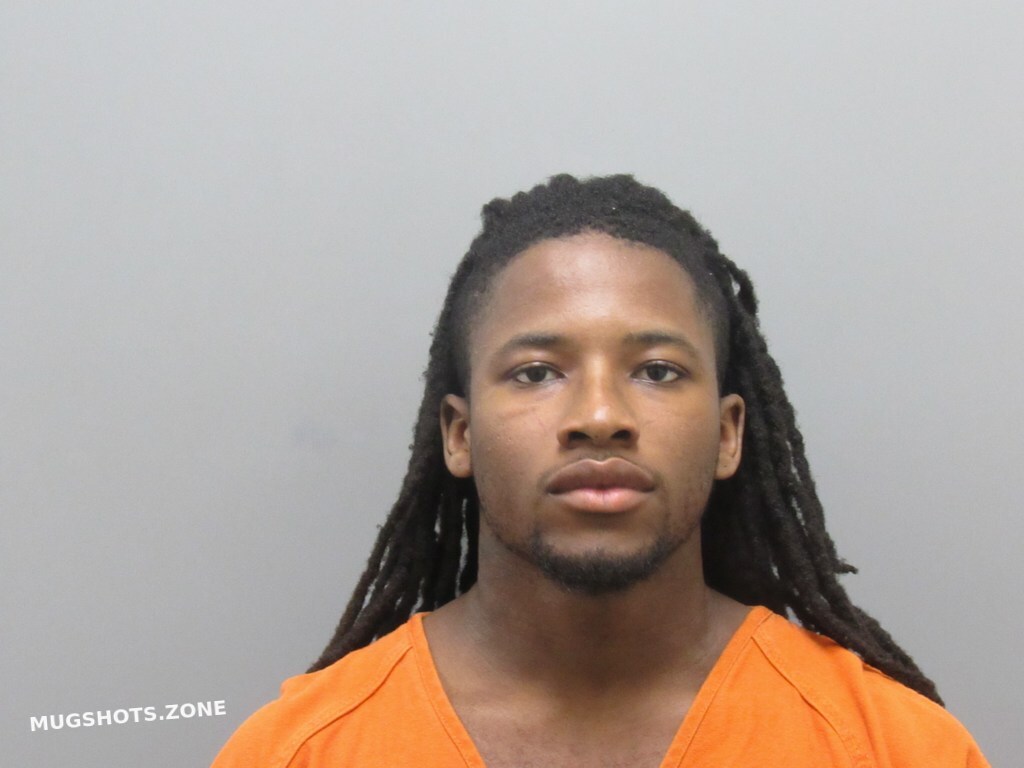 PALMER PRESTON LYNDON 11/11/2024 - Harris County Mugshots Zone