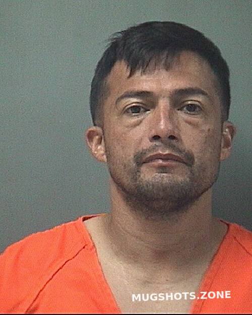 ESPINOSA ADOLFO 11/13/2024 - Harris County Mugshots Zone