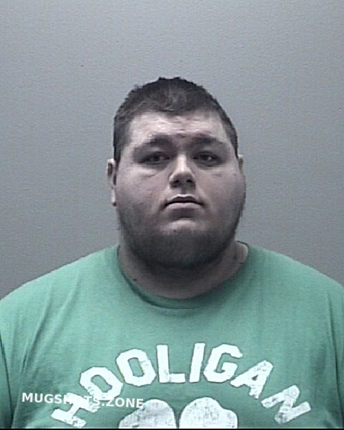 WILLIAMS DUSTYN PAUL-GENE 11/14/2024 - Harris County Mugshots Zone