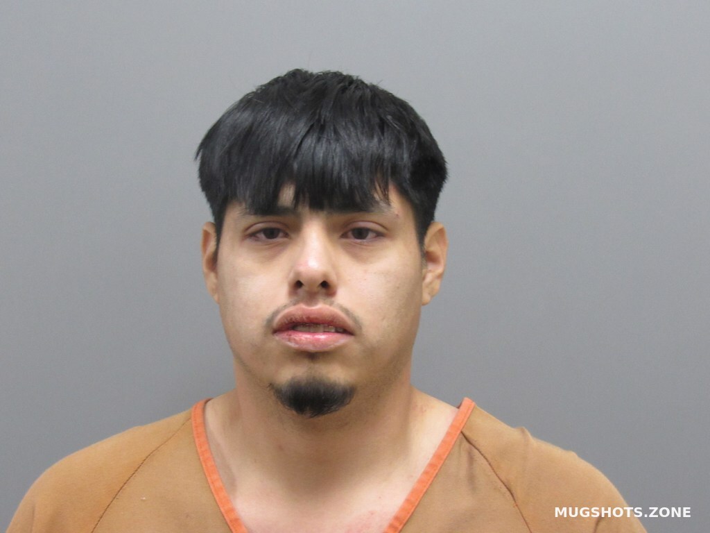 CRUZ-TOLER JORDAN JAKE 11/14/2024 - Harris County Mugshots Zone