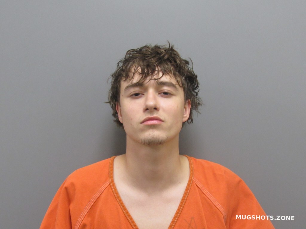 SINGELTARY AIDAN TRACE 11/16/2024 - Harris County Mugshots Zone