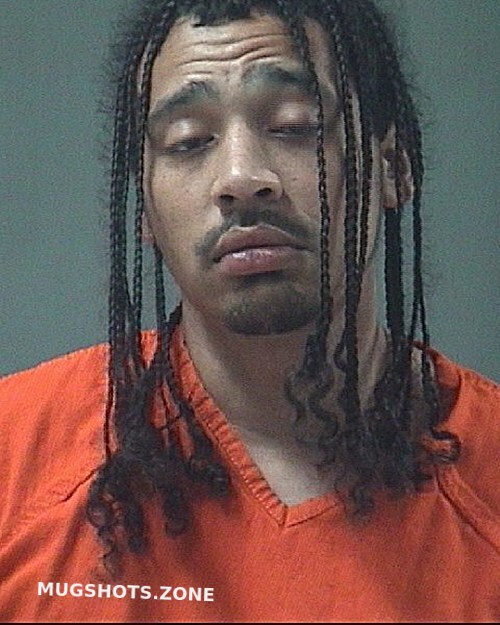 DAVIS ANTHONY RAY 11/23/2024 - Harris County Mugshots Zone