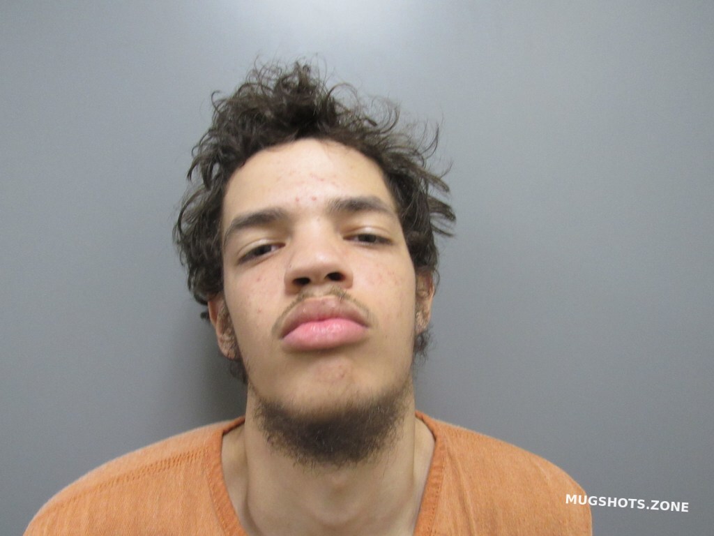 FLEMING BRADEN TERENCE 11/25/2024 - Harris County Mugshots Zone