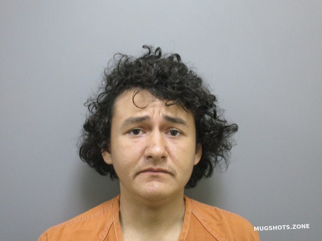 MEADE CURTIS THOMAS 01/30/2025 - Harris County Mugshots Zone