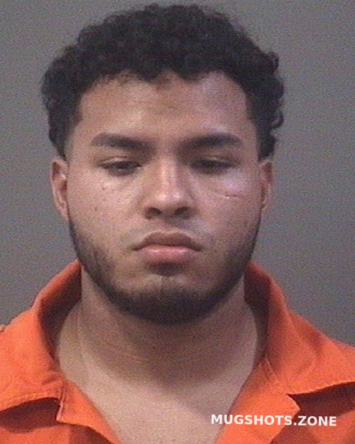 HERNANDEZ JUAN JOSE 02/08/2025 - Harris County Mugshots Zone