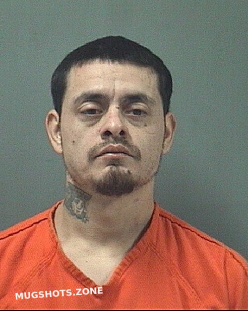 SALINAS MARIO EDUARDO 02/17/2025 - Harris County Mugshots Zone