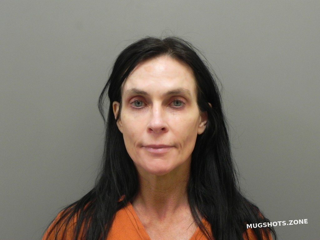 GIBBS BRANDY JEAN 02/23/2025 - Harris County Mugshots Zone