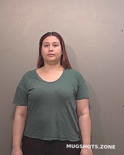 MAGARIN KEILA JOANNE 02/26/2025 - Harris County Mugshots Zone
