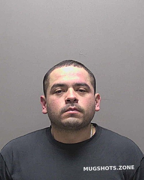 ANGUIANO STEVEN AARON 03/01/2025 - Harris County Mugshots Zone