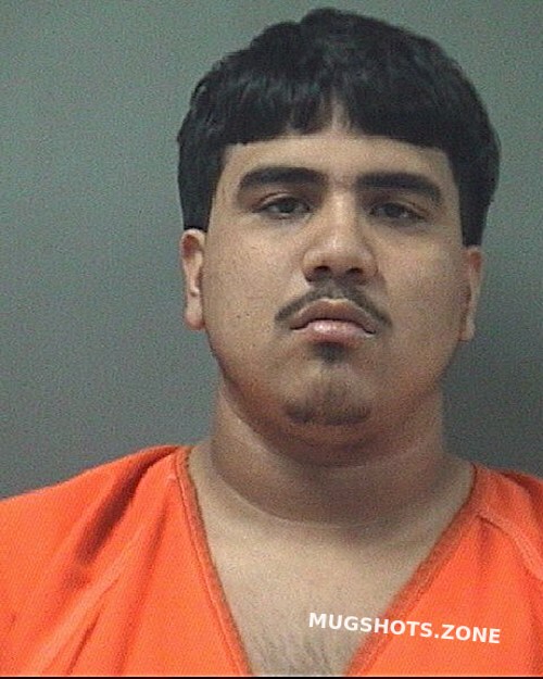 DESANTIAGO LUIS ANGEL 03/02/2025 - Harris County Mugshots Zone