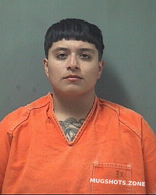 ACEVEDO JANEY 03/05/2025 - Harris County Mugshots Zone