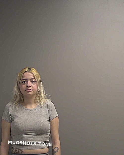 VELASQUEZ LESLY LORENA 03/09/2025 - Harris County Mugshots Zone