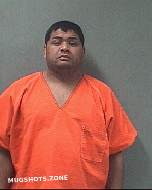 DIAZ-GARCIA LUIS JAVIER 03/12/2025 - Harris County Mugshots Zone
