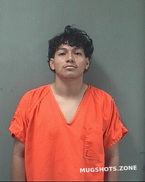 NUNEZ GABRIEL JALIN 03/12/2025 - Harris County Mugshots Zone