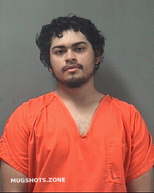 REYES GREGORY JOHN 03/15/2025 - Harris County Mugshots Zone