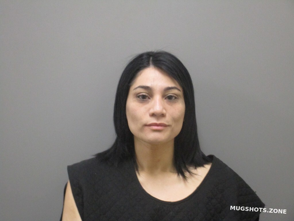 PINZON ALEXIS GABRIELA 03/16/2025 - Harris County Mugshots Zone