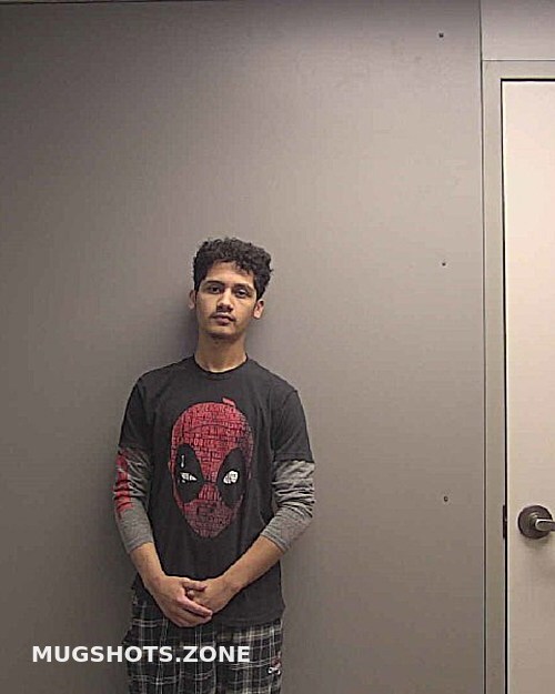 IBANEZ EDWIN ALEJANDRO 03/26/2025 - Harris County Mugshots Zone