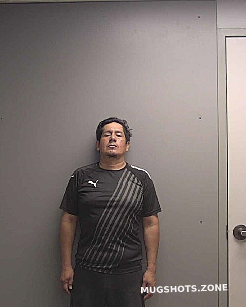 HURTADO-SHAPIAMA TONY ALEJANDRO 04/02/2025 - Harris County Mugshots Zone