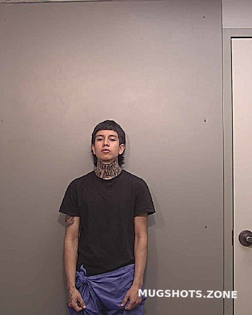 MARENTES LUIS 04/05/2025 - Harris County Mugshots Zone