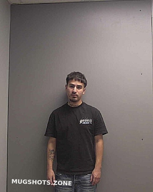 DABILA MIGUEL ANGEL 04/20/2025 - Harris County Mugshots Zone